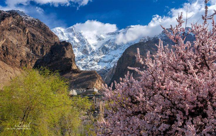 Hunza Valley Cherry Blossom Tours – DREAM | DISCOVER | HIDDEN GEMS ...
