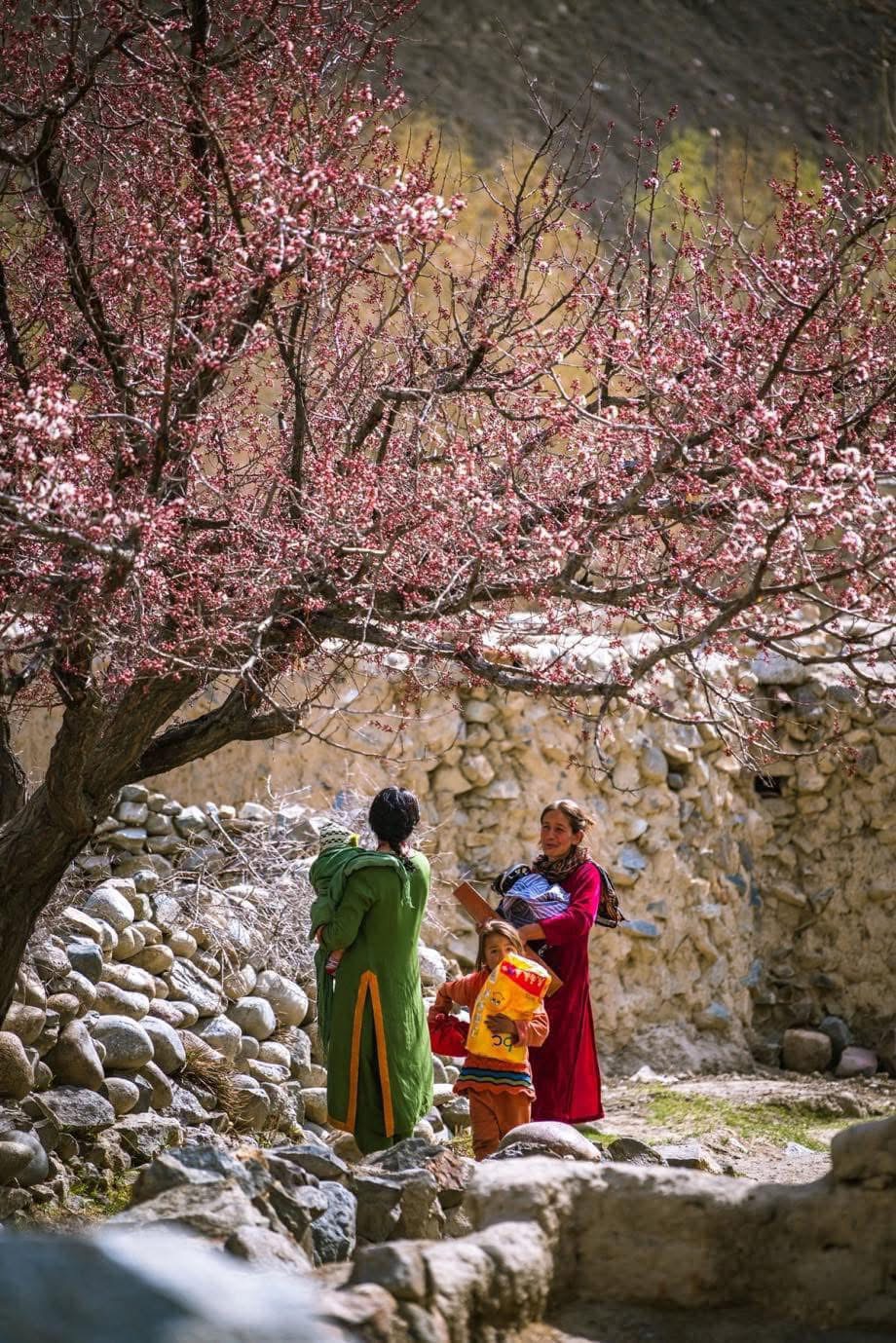 HUNZA VALLEY CHERRY BLOSSOM TOUR – DREAM | DISCOVER | HIDDEN GEMS ...